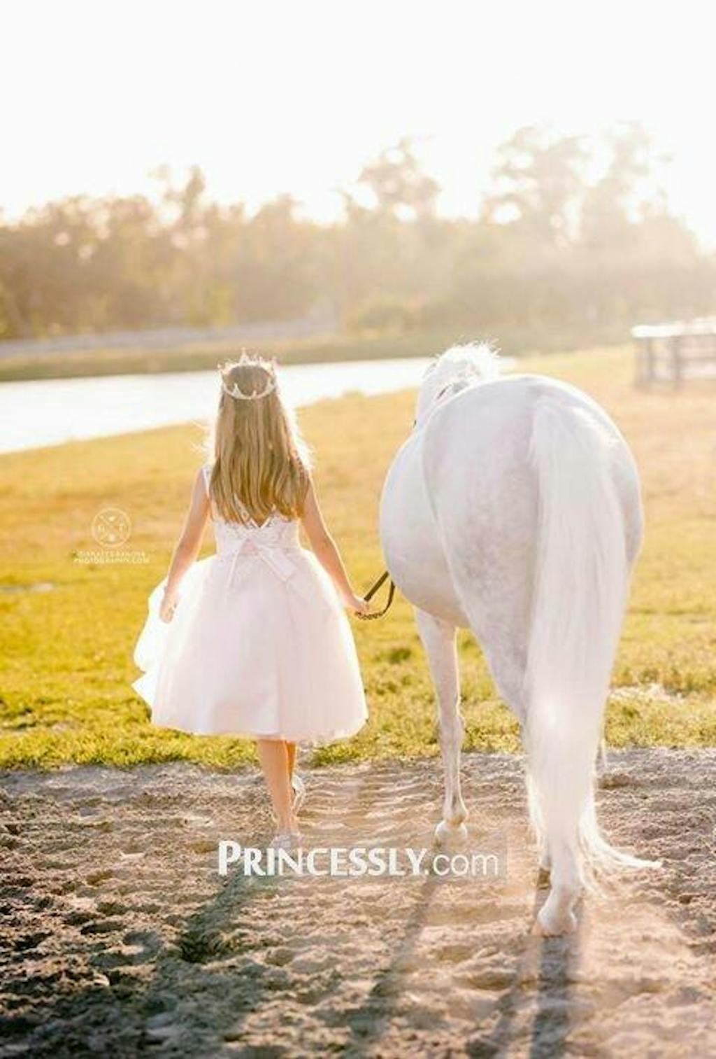 Ivory Lace Pink Tulle Wedding Flower Girl Dress, V Back - Princessly