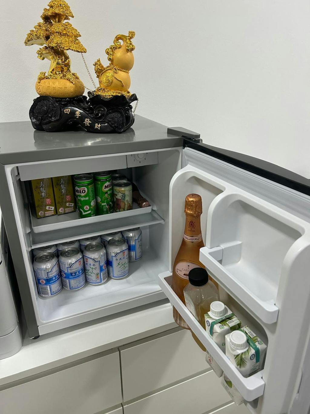 PRISM+ PureFresh MB 50 Refrigerator – PRISM+ Singapore