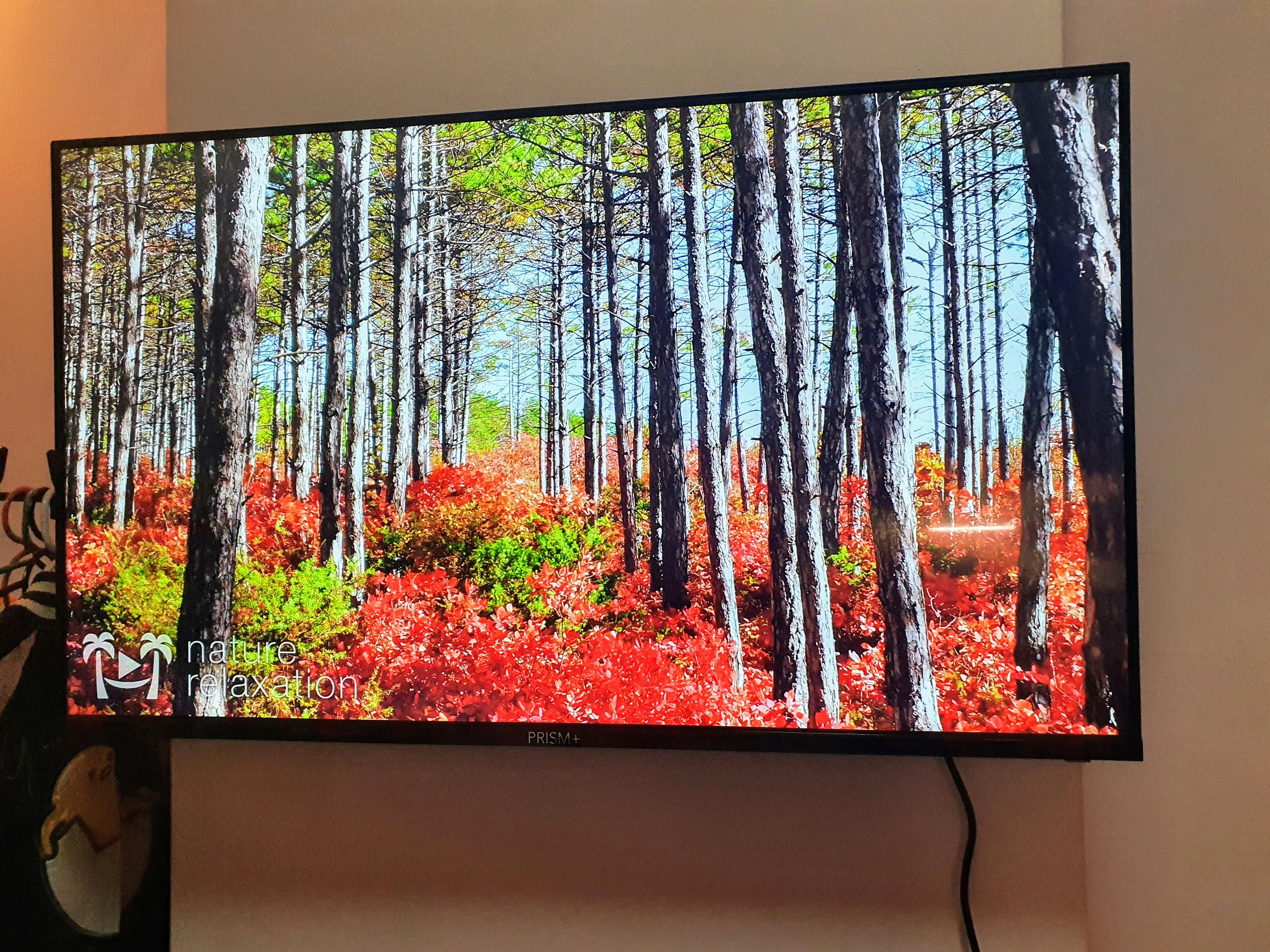 All Reviews – PRISM+