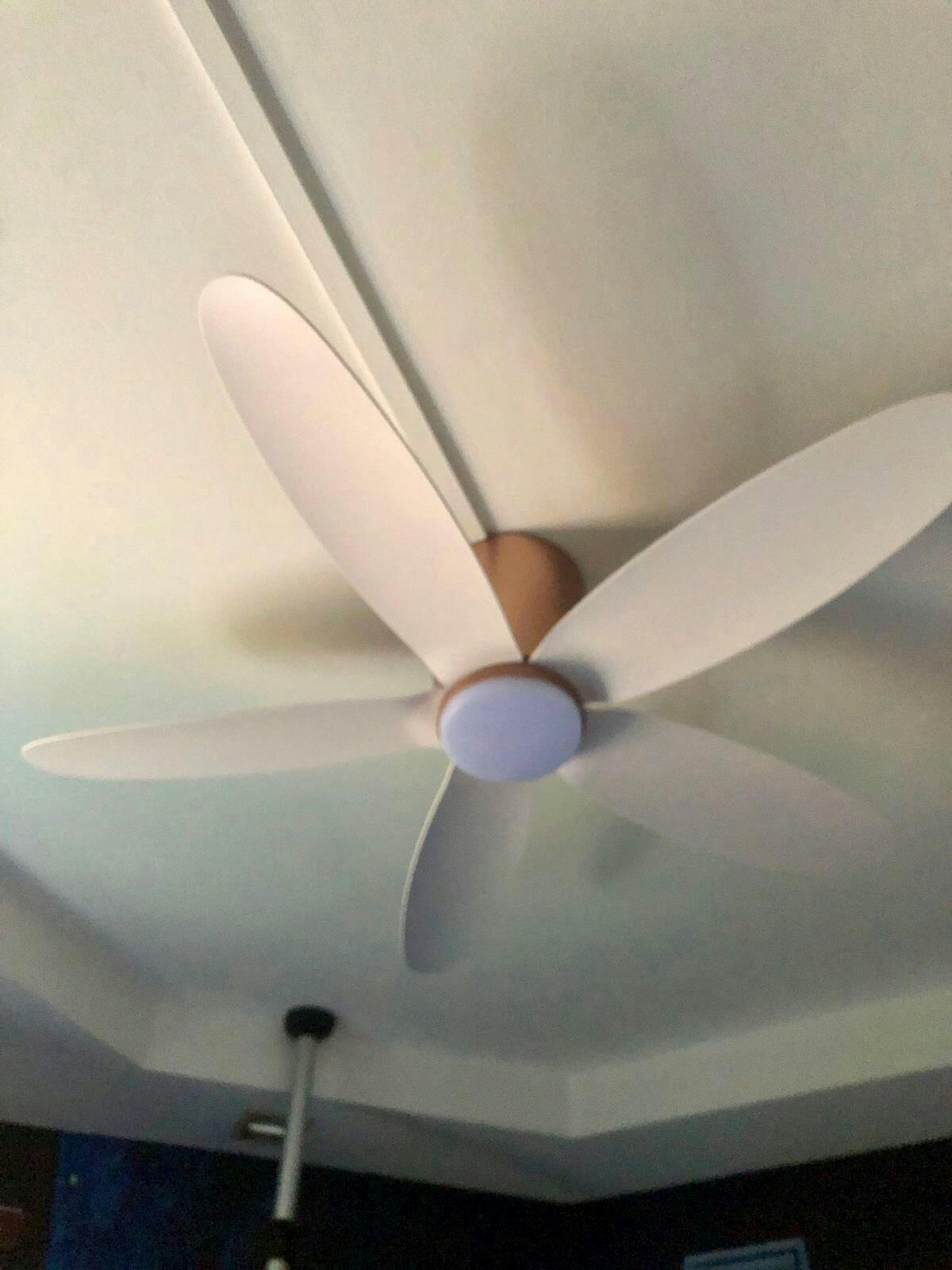 All Reviews – PRISM+