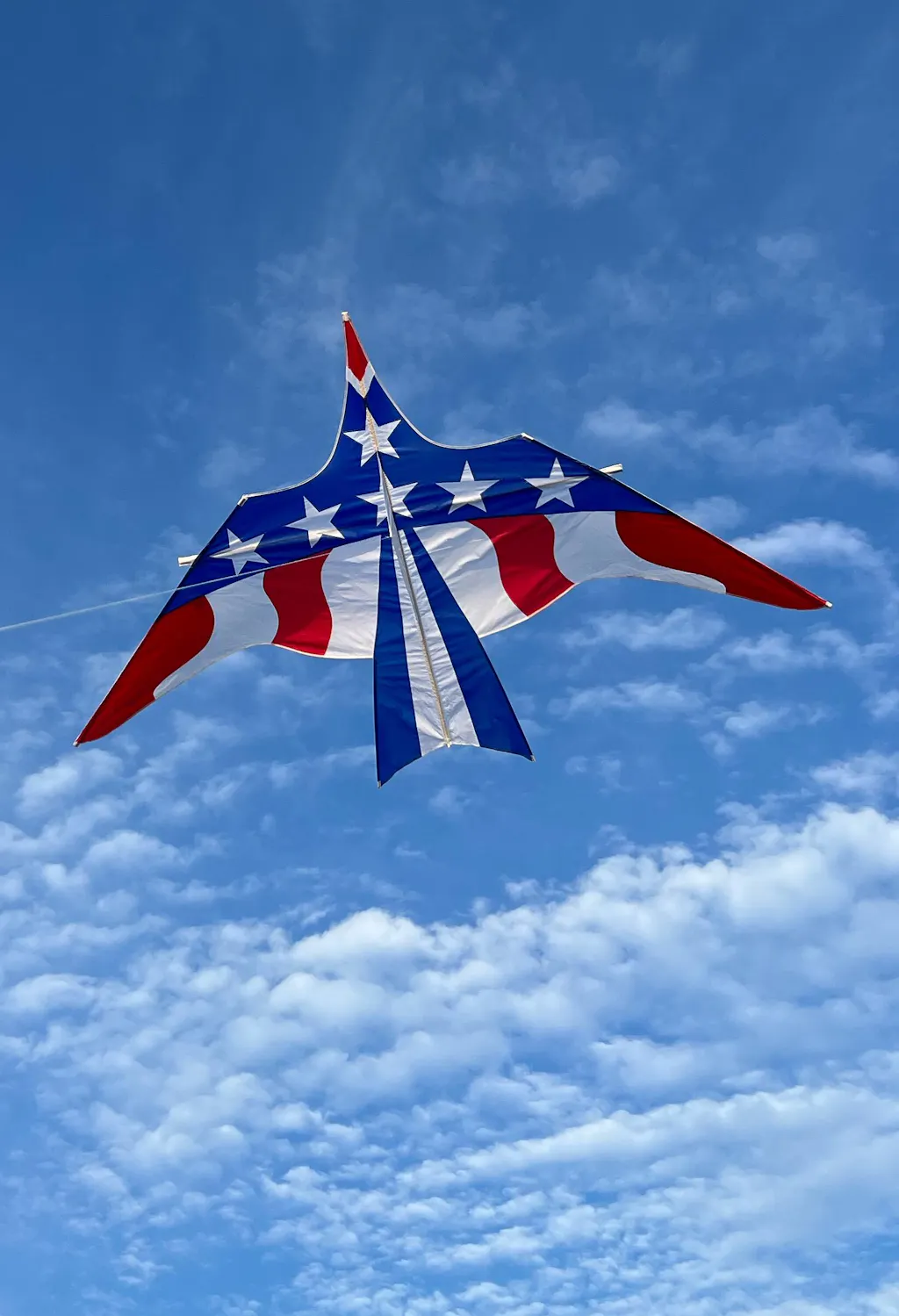 11.5' Thunderbird Kite - Patriotic – Pro Kites USA