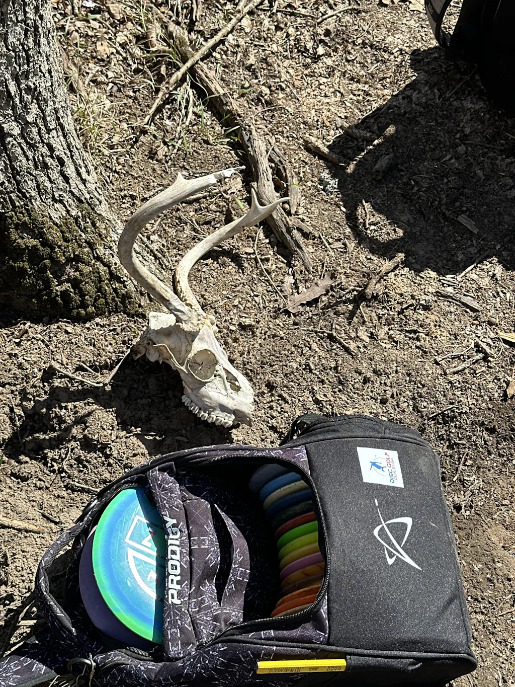 Prodigy Ascent Backpack