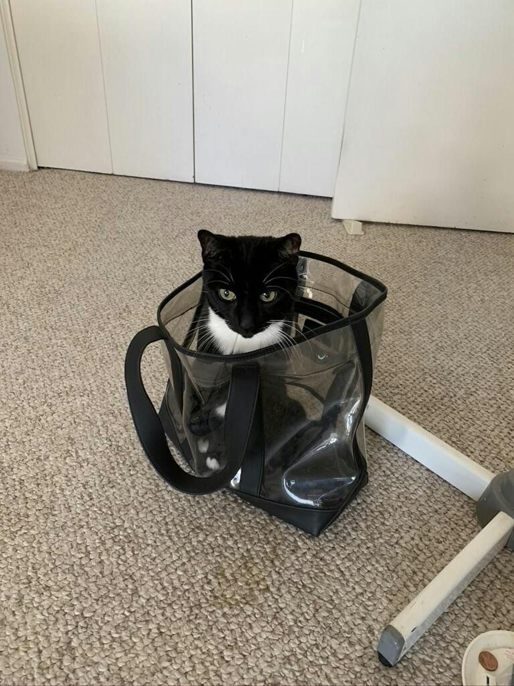 Prolux Vacuums Flip Catalog – Prolux Cleaners