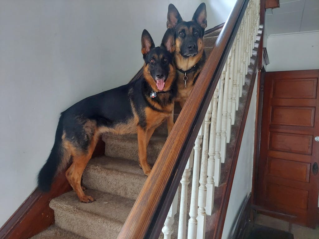 Prolux CTX PRO Water Filtration Bagless Canister Vacuum Cleaner ...