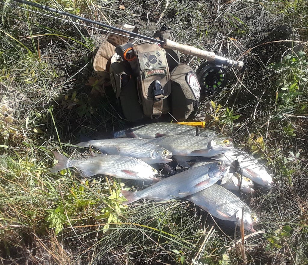 SPX Pouch - All Terrain Brown | PDW | Prometheus Design Werx