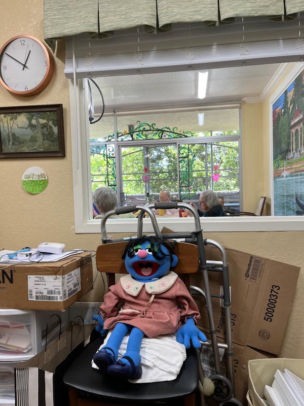 The World of Pubbets: Your Puppetry Adventure Begins Here! – Pubbets!