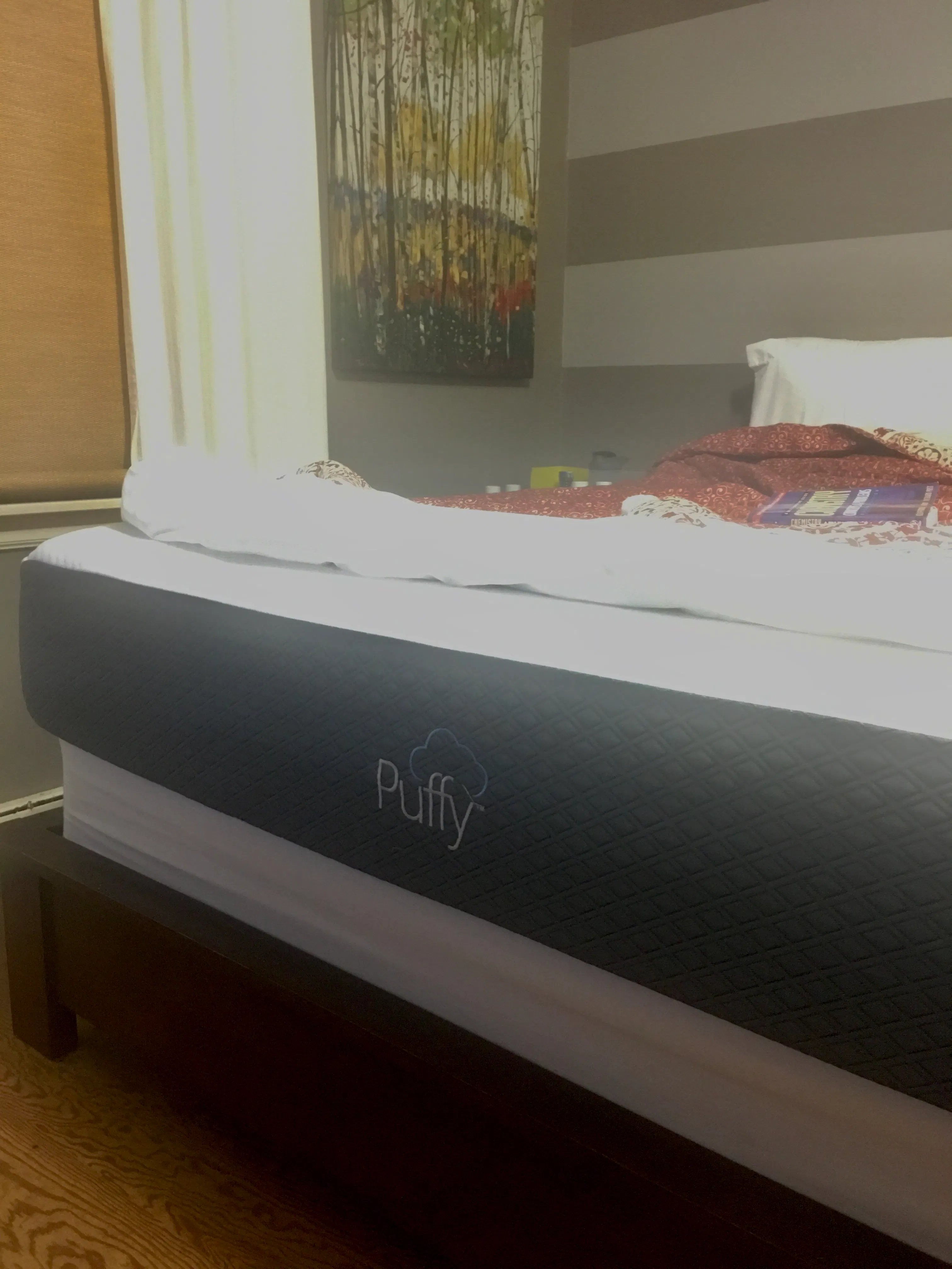 Puffy Lux Mattress