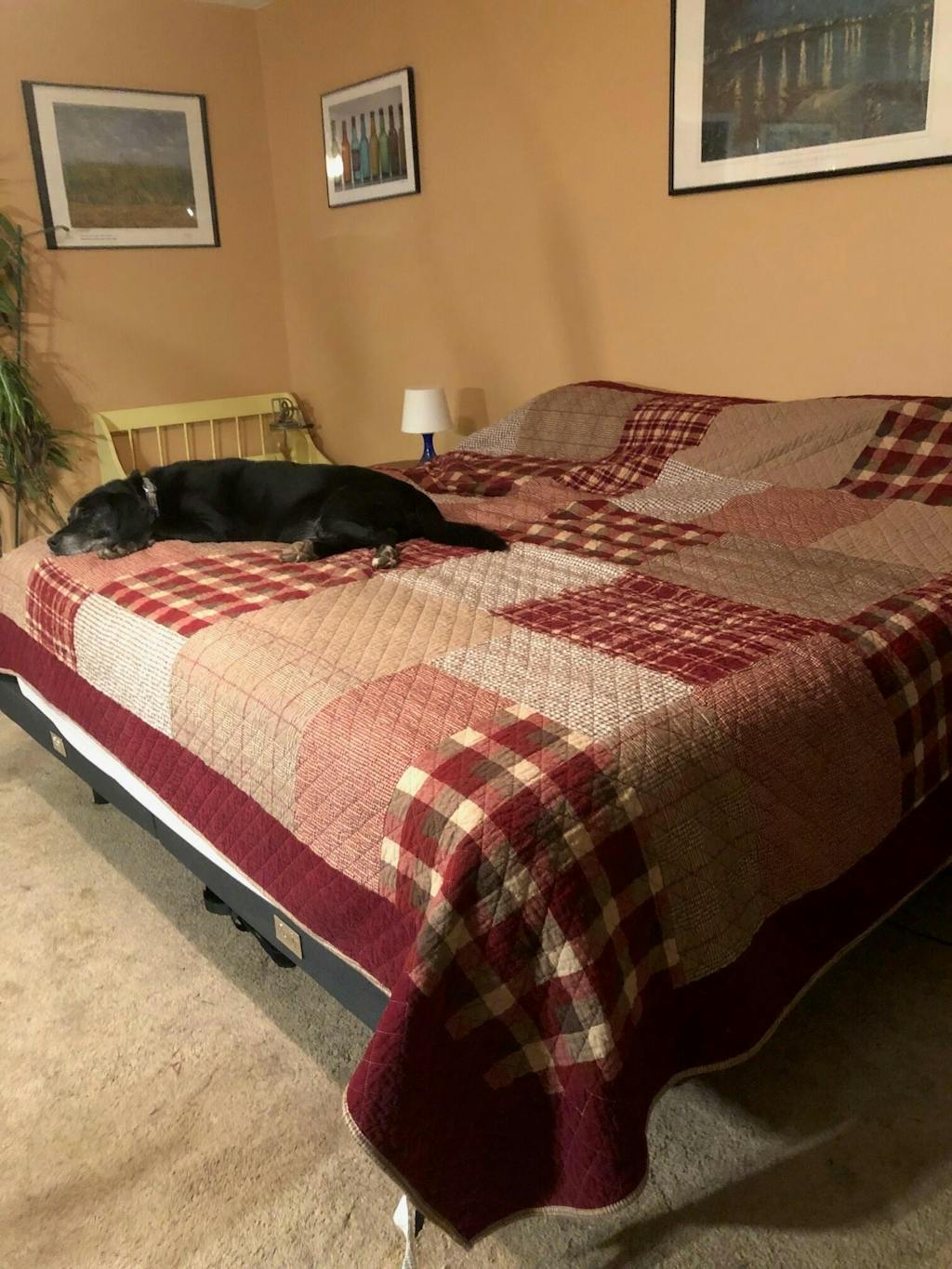 Official Puffy® Adjustable Base | Luxury Base for Your Mattress