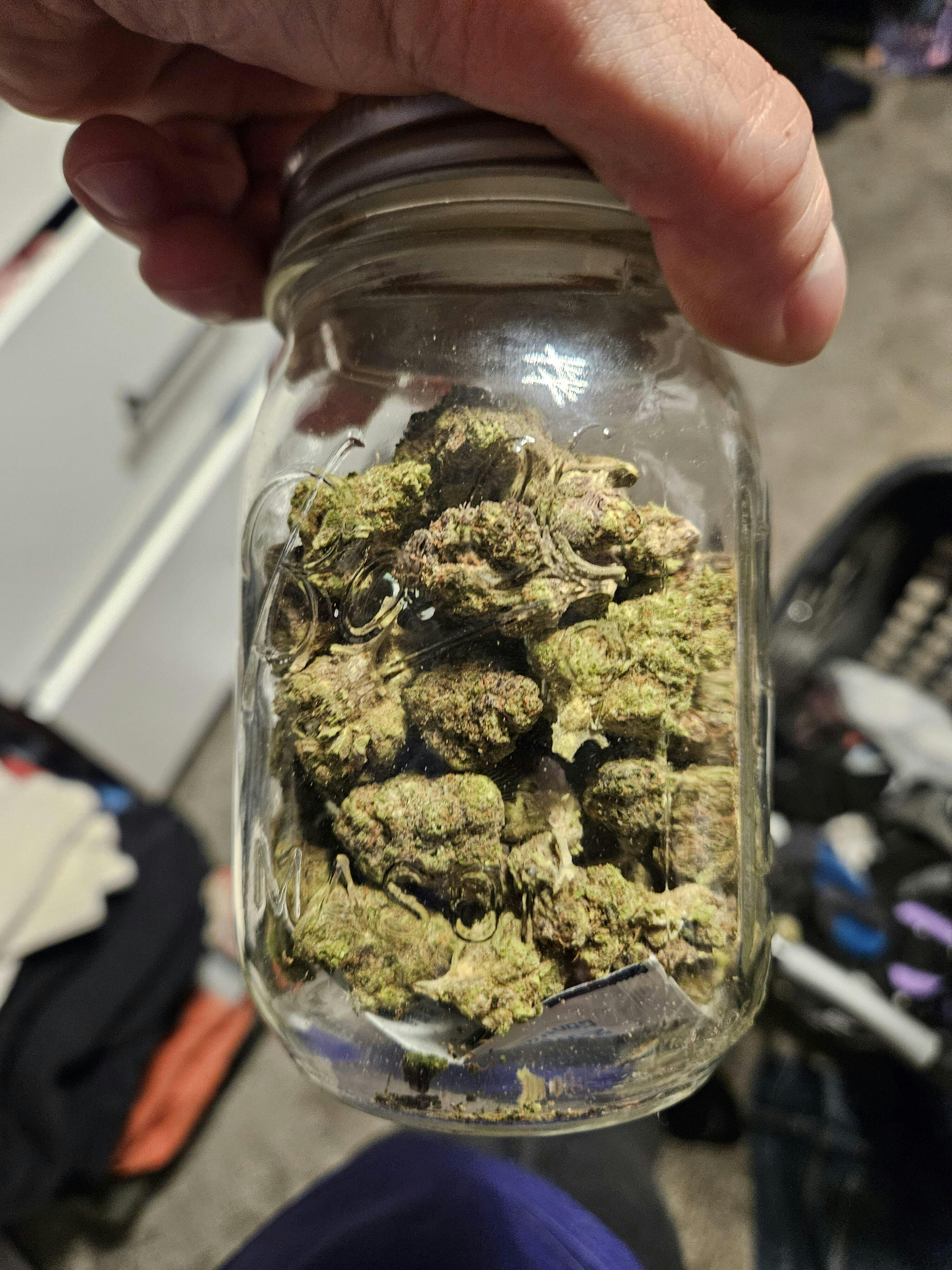 Lemon Cherry Gelato Pure THCa Live Resin Disposable – Puffy THCa