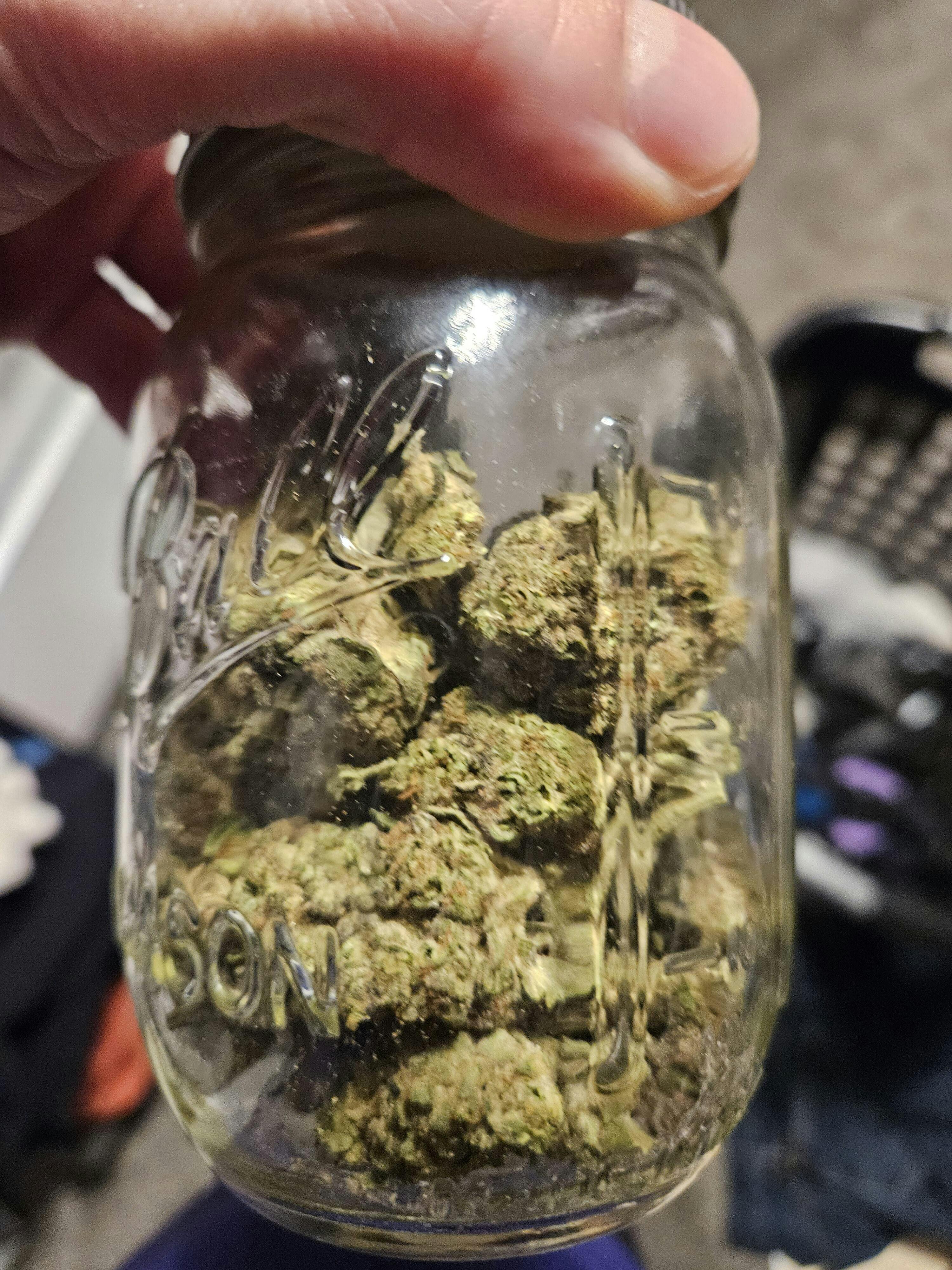 Lemon Cherry Gelato Pure THCa Live Resin Disposable – Puffy THCa