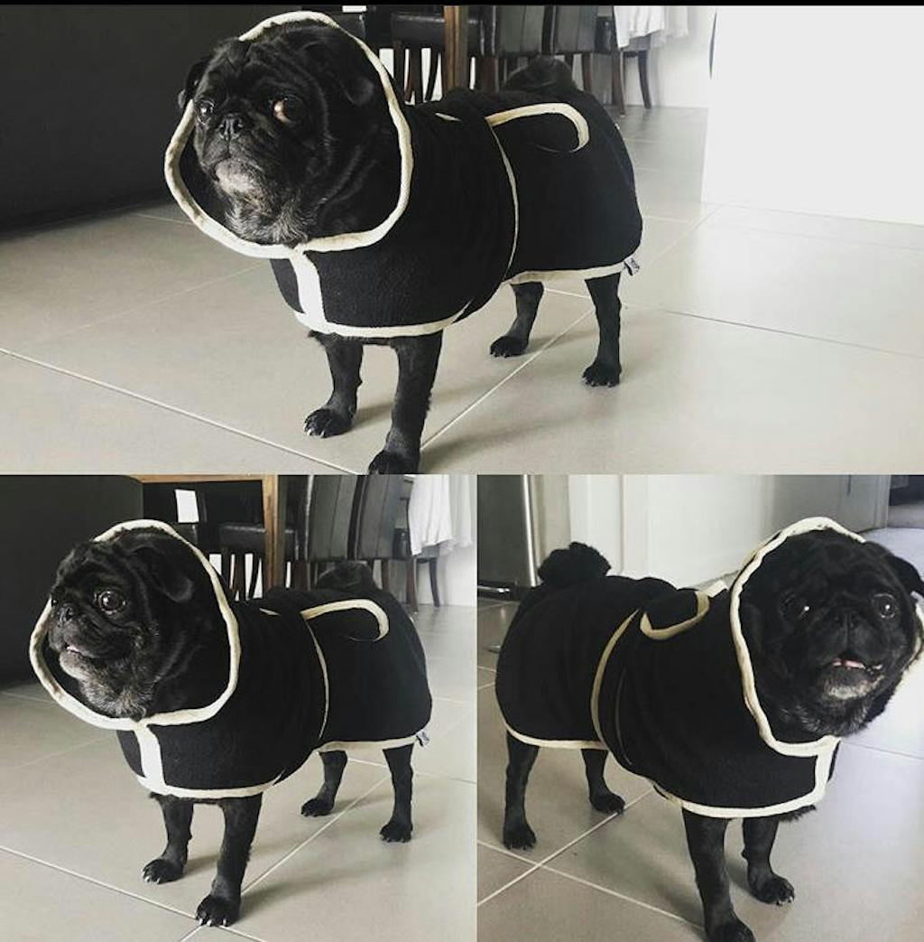 Pug Products – Pugpod