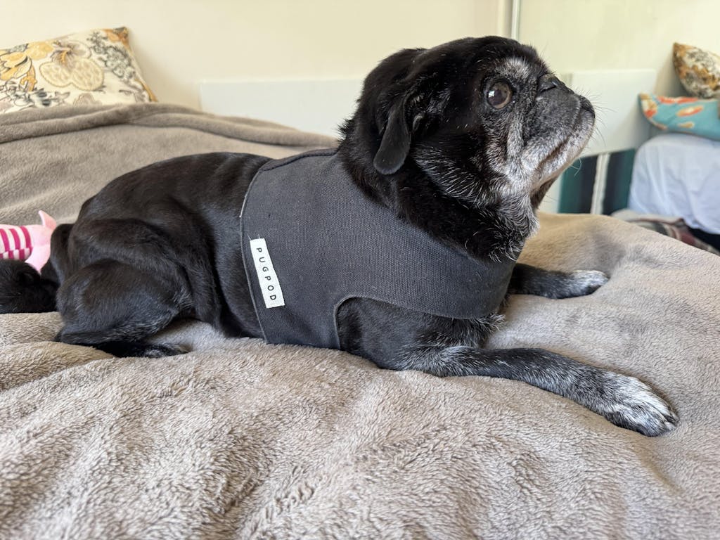 Pug Products – Pugpod