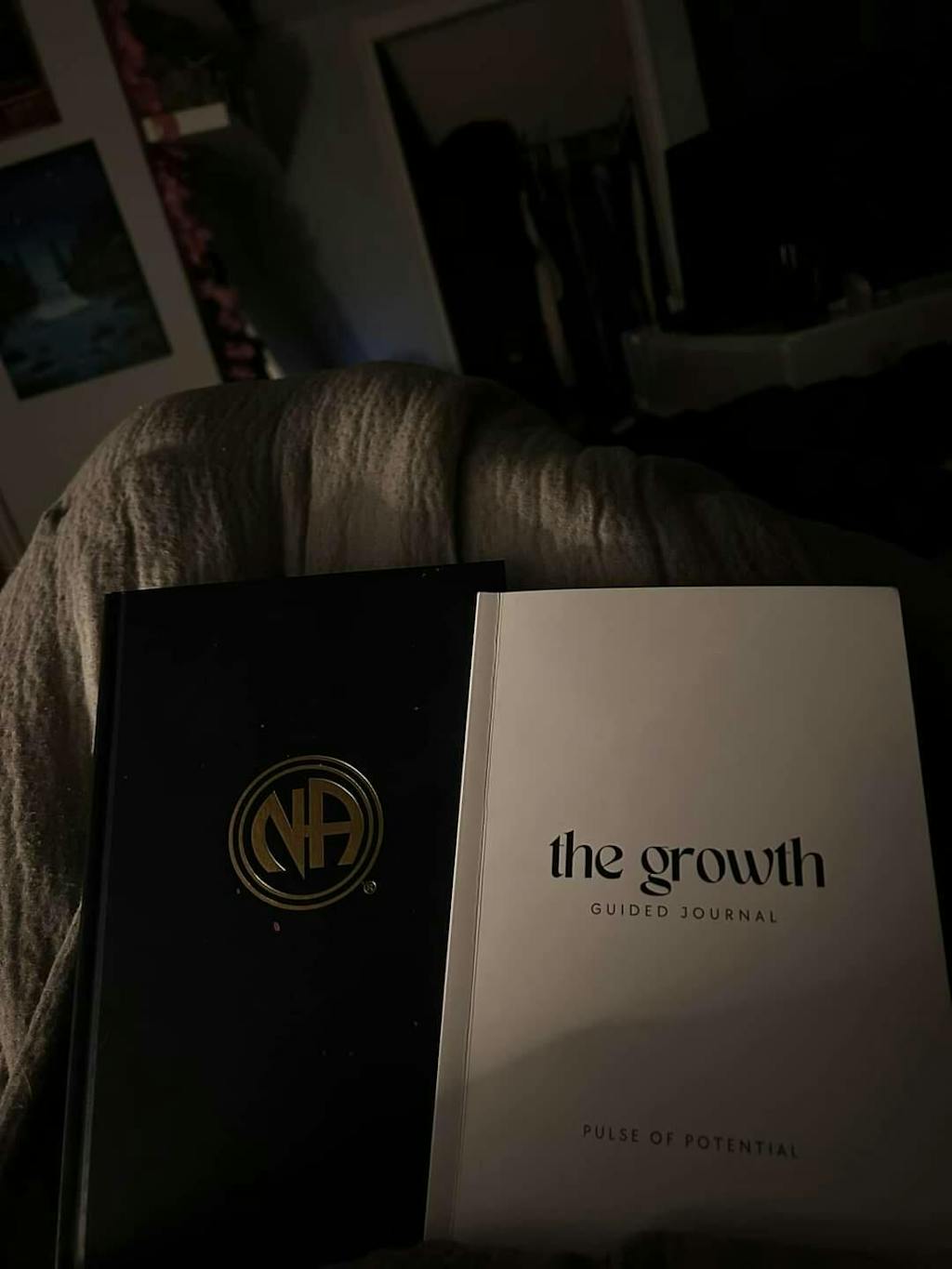 The Growth Guided Journal Hardcover – Pulse of Potential