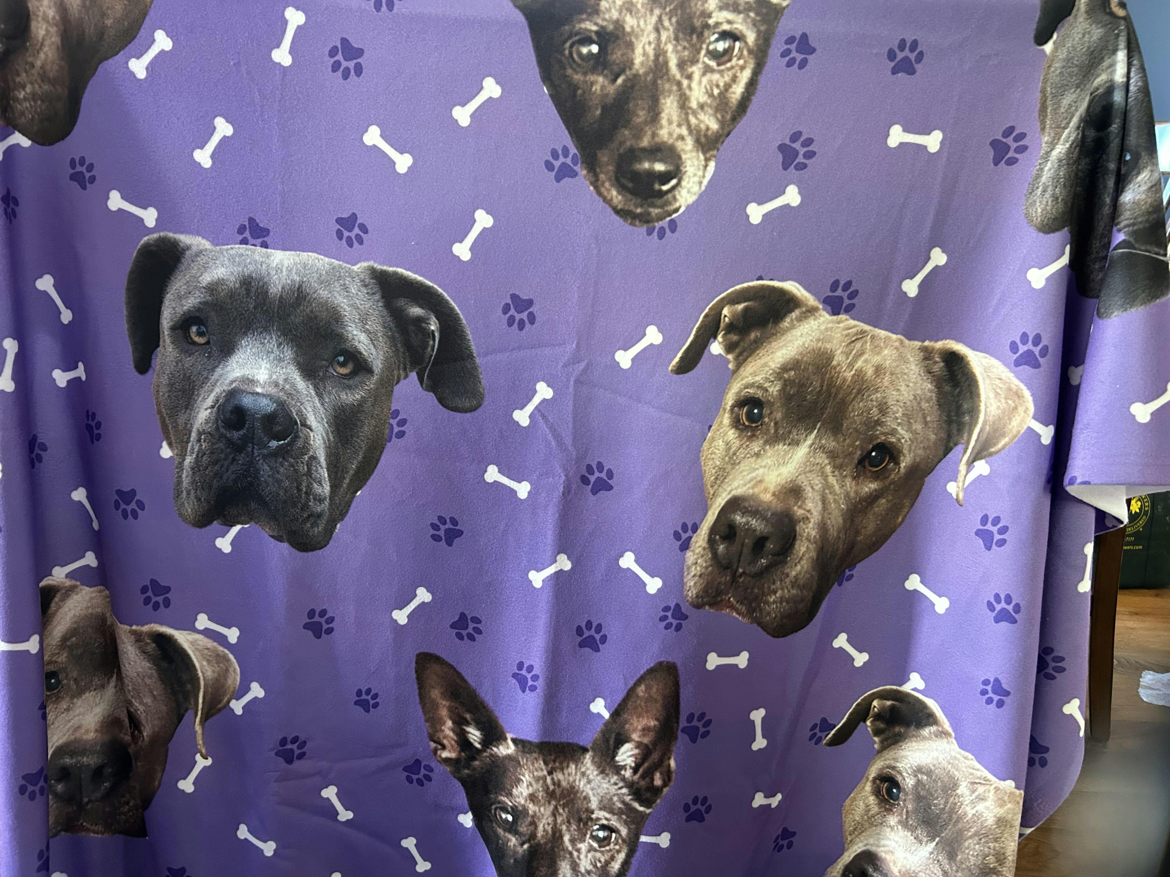 Custom PupBlanket – PupSocks