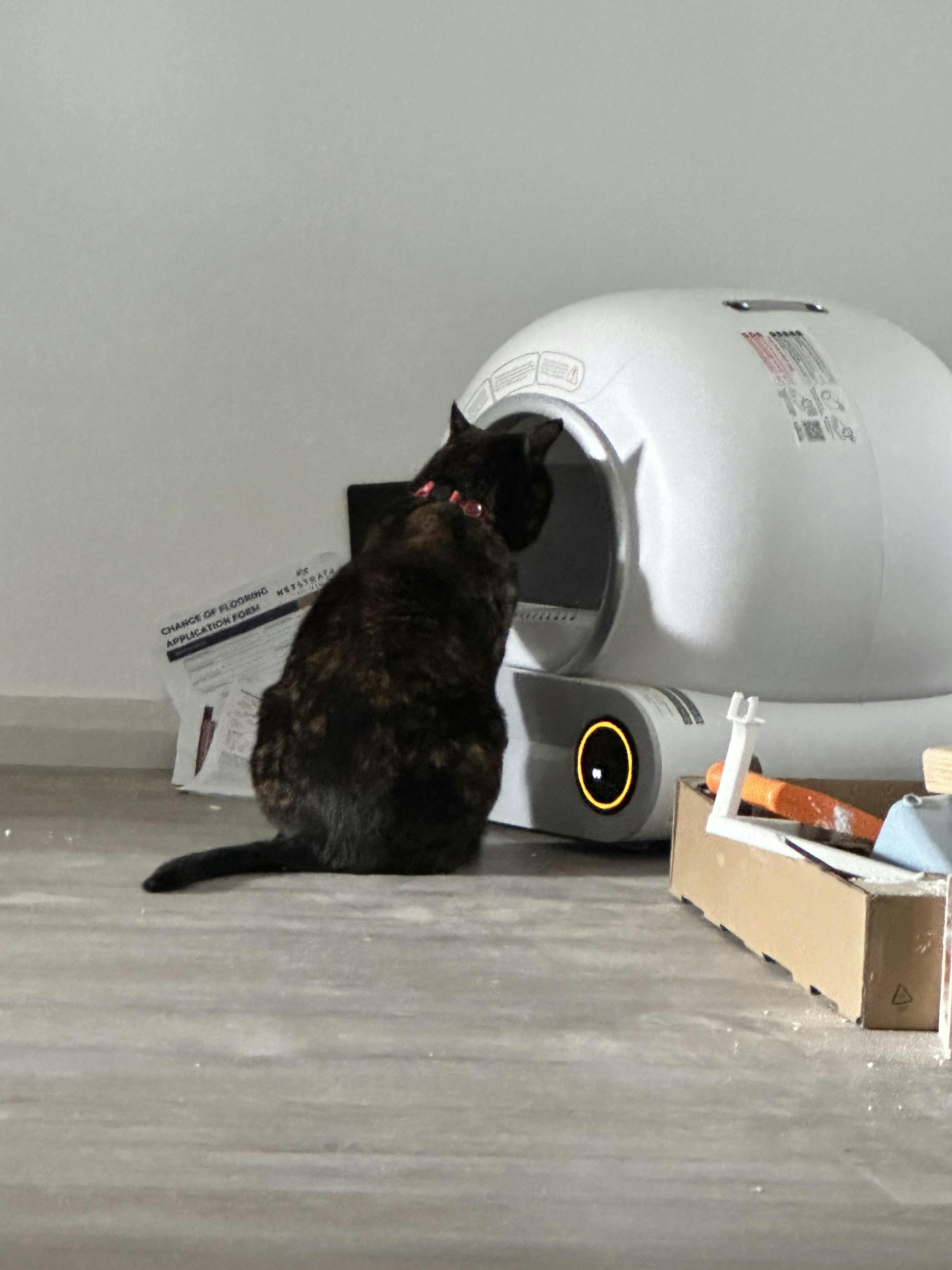 Purr-Pod™ Automatic Litter Box