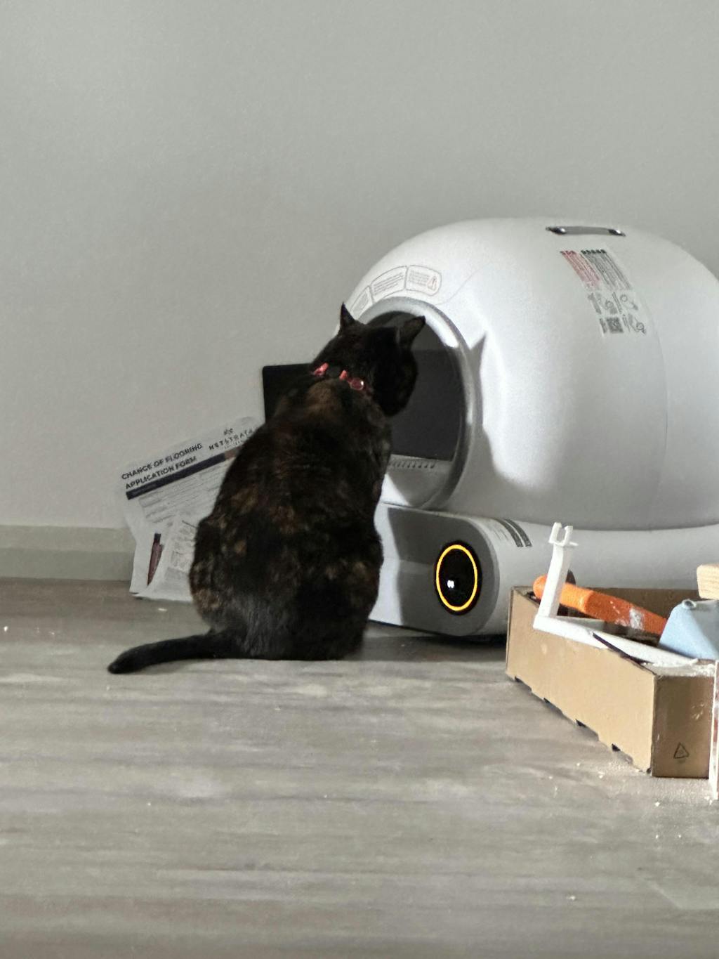 Purr-Pod™ Automatic Litter Box