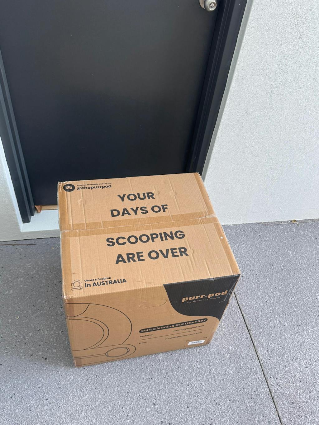 Purr-Pod™ Automatic Litter Box