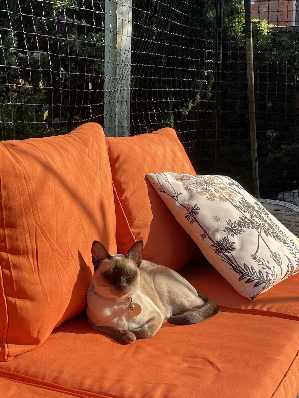 Cat Proof Fence Conversion System | Purrfect Fence