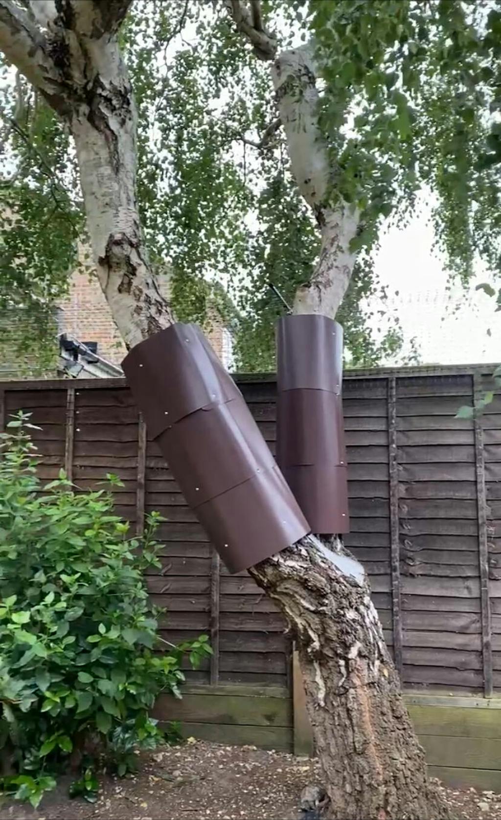 Cat Anti-Climb Tree Guard Baffle Kit – Purrfect Fence UK