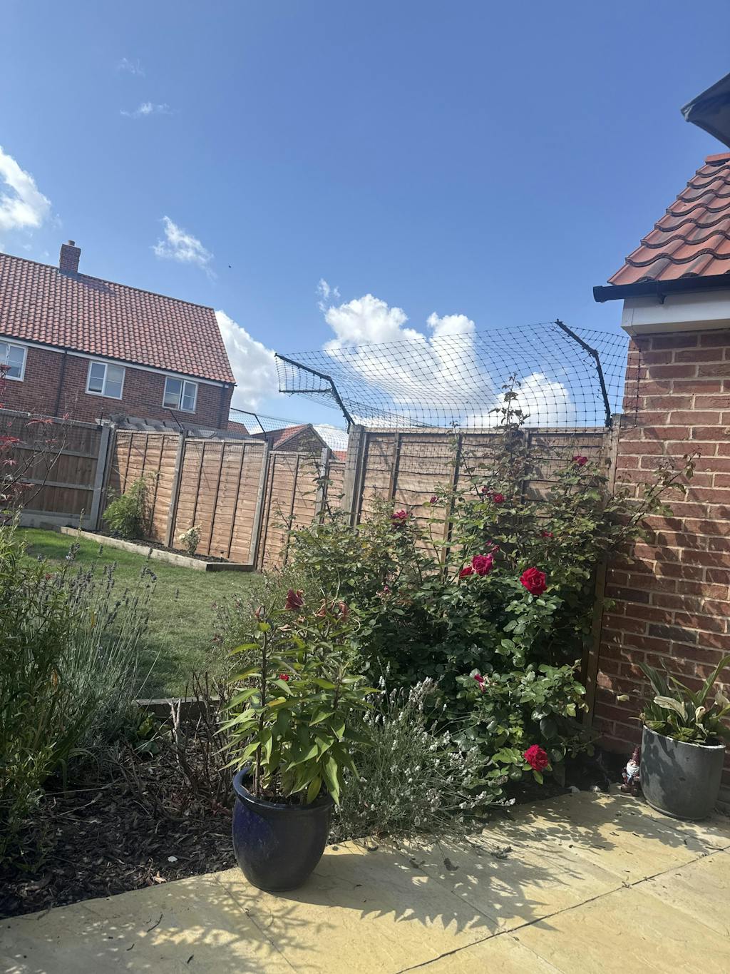 Cat Fences & Outdoor Cat Enclosures | Purrfect Fence