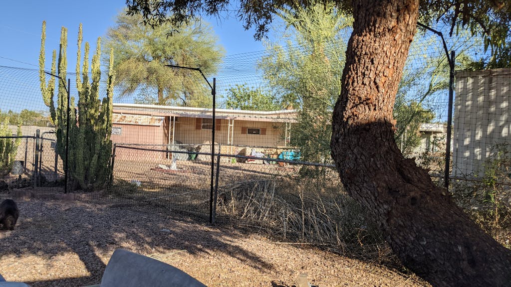 Free-Standing Cat Fence Enclosure System - Purrfect Fence