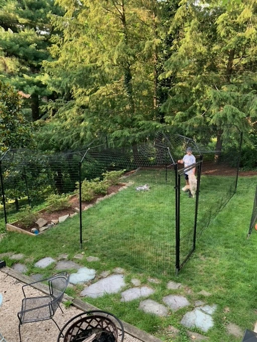 Cat Fence - Purrfect Fence