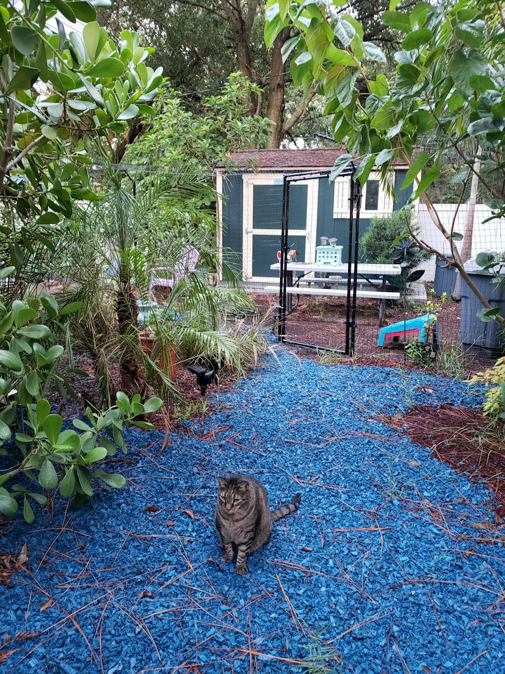 Free-Standing Cat Fence Enclosure System - Purrfect Fence