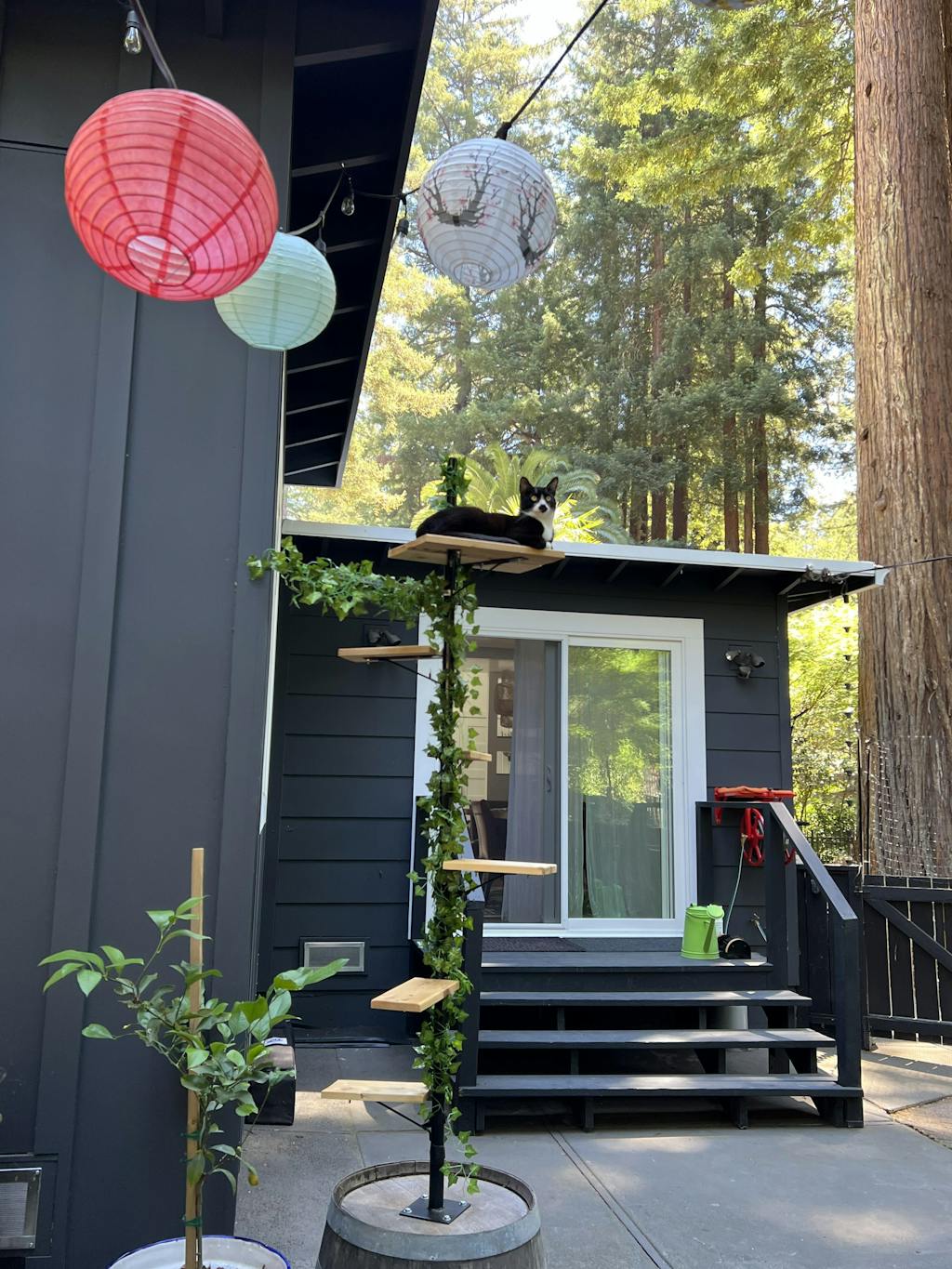 Outdoor Cat Perch - Cat Tree - Purrfect Fence