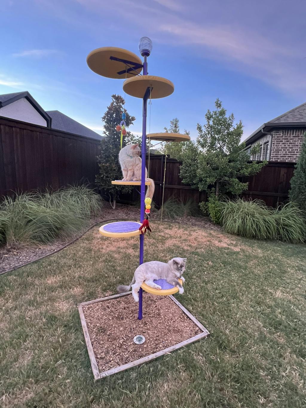 Outdoor Cat Perch - Cat Tree - Purrfect Fence