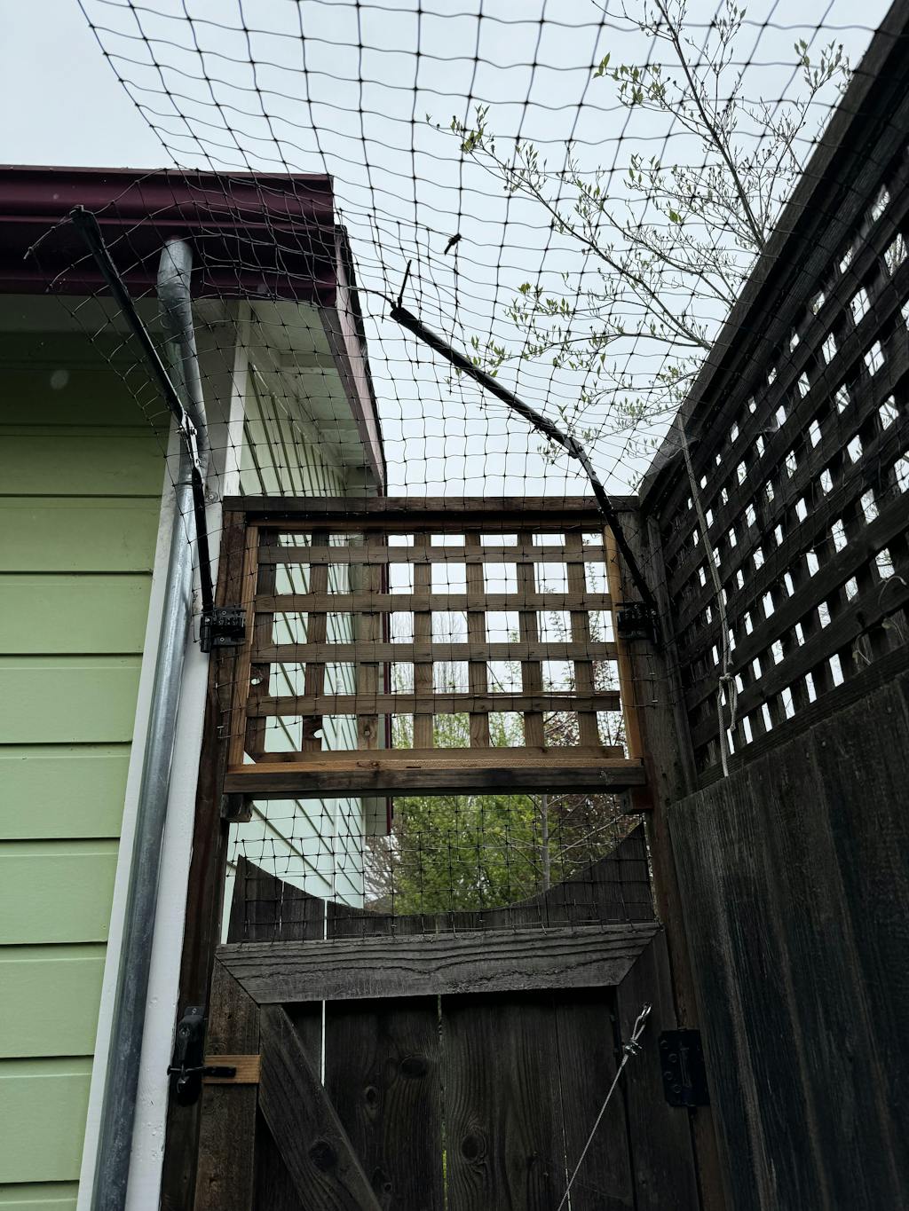 Cat Anti-Climb Tree Guard Baffle Kit - Purrfect Fence