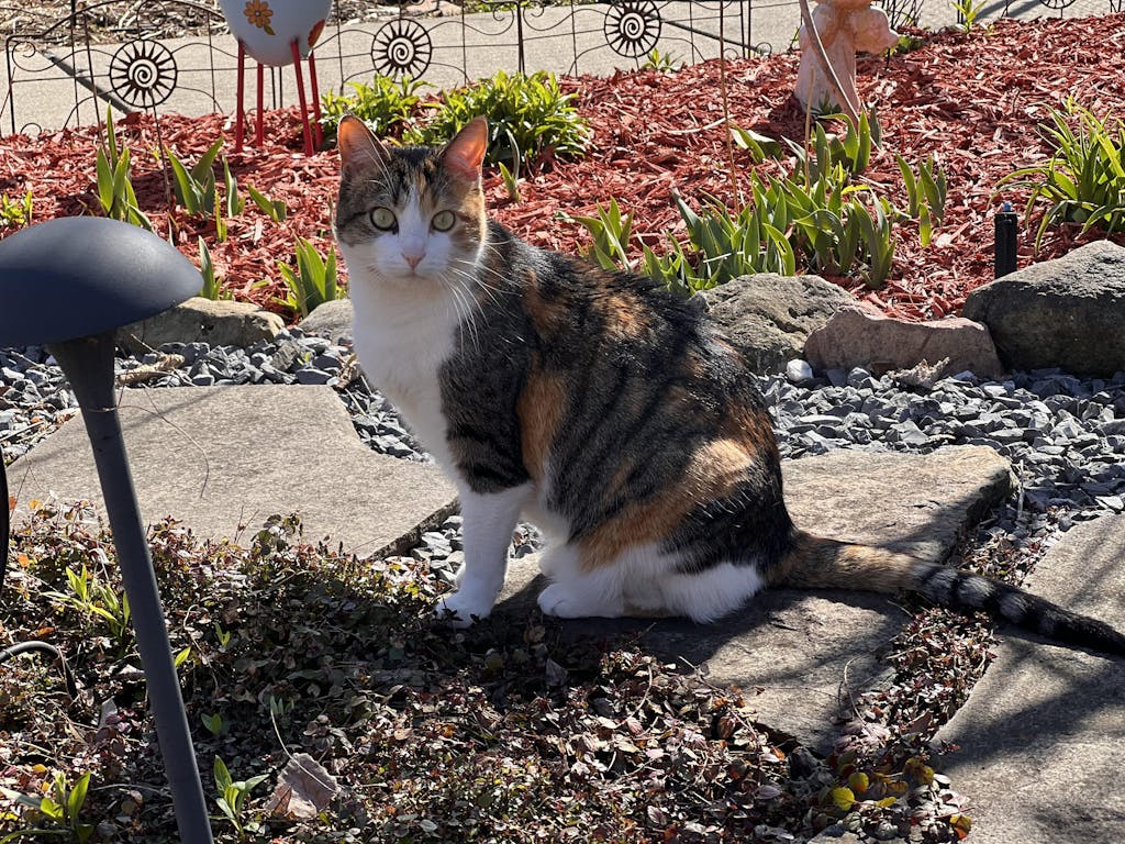 Cat Anti-Climb Tree Guard Baffle Kit - Purrfect Fence
