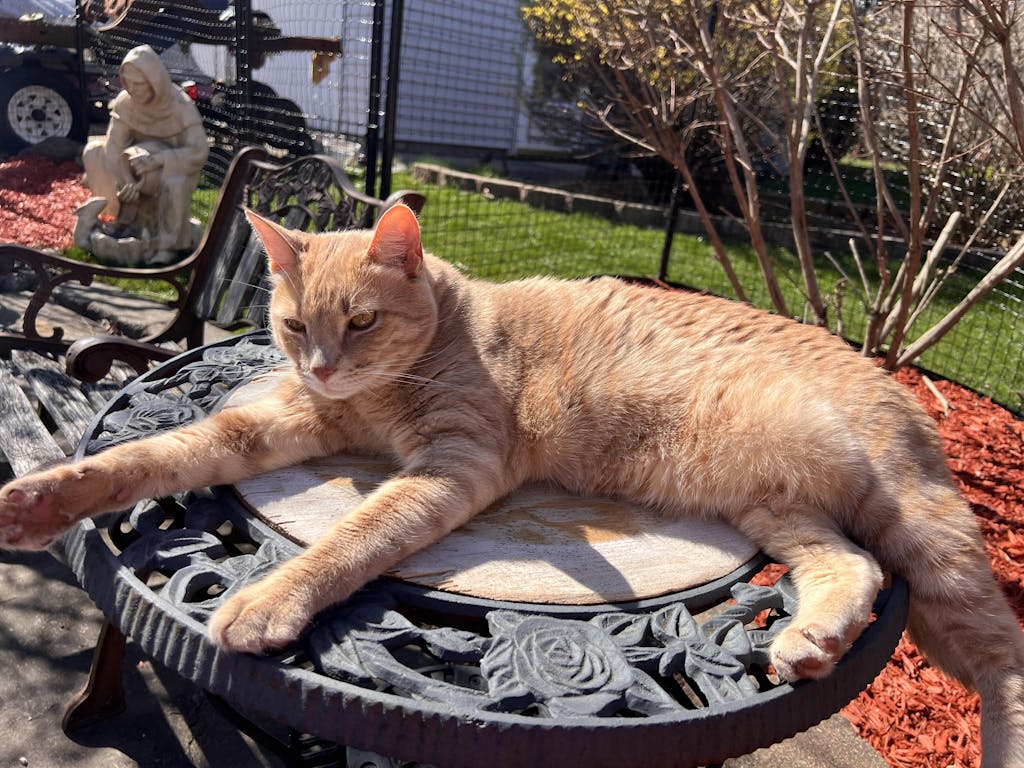 Cat Anti-Climb Tree Guard Baffle Kit - Purrfect Fence