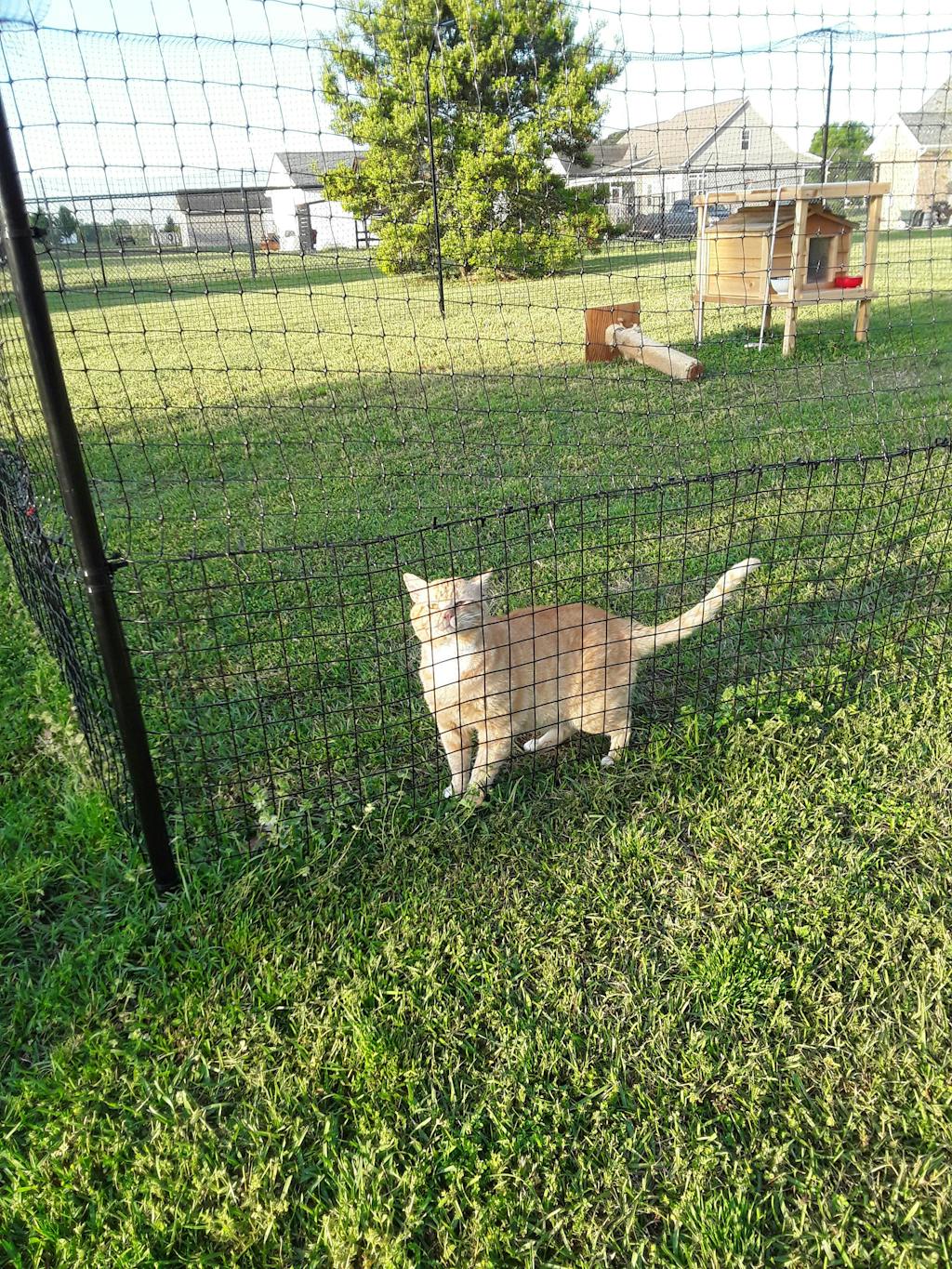 Cat Anti-Climb Tree Guard Baffle Kit - Purrfect Fence