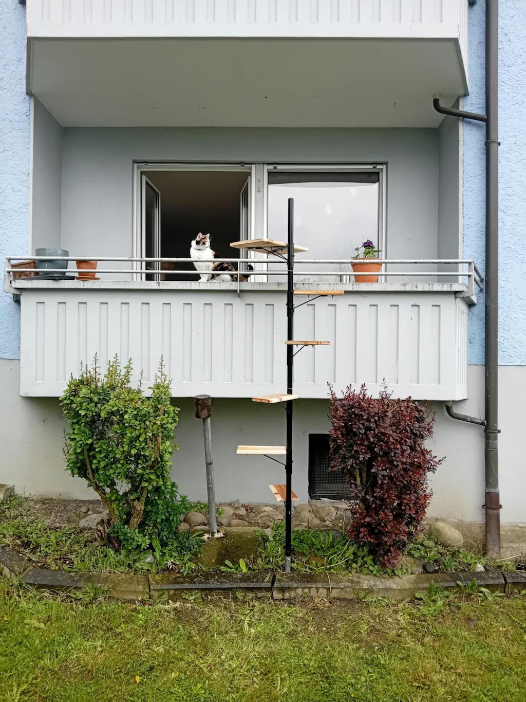 Outdoor Cat Perch - Cat Tree - Purrfect Fence