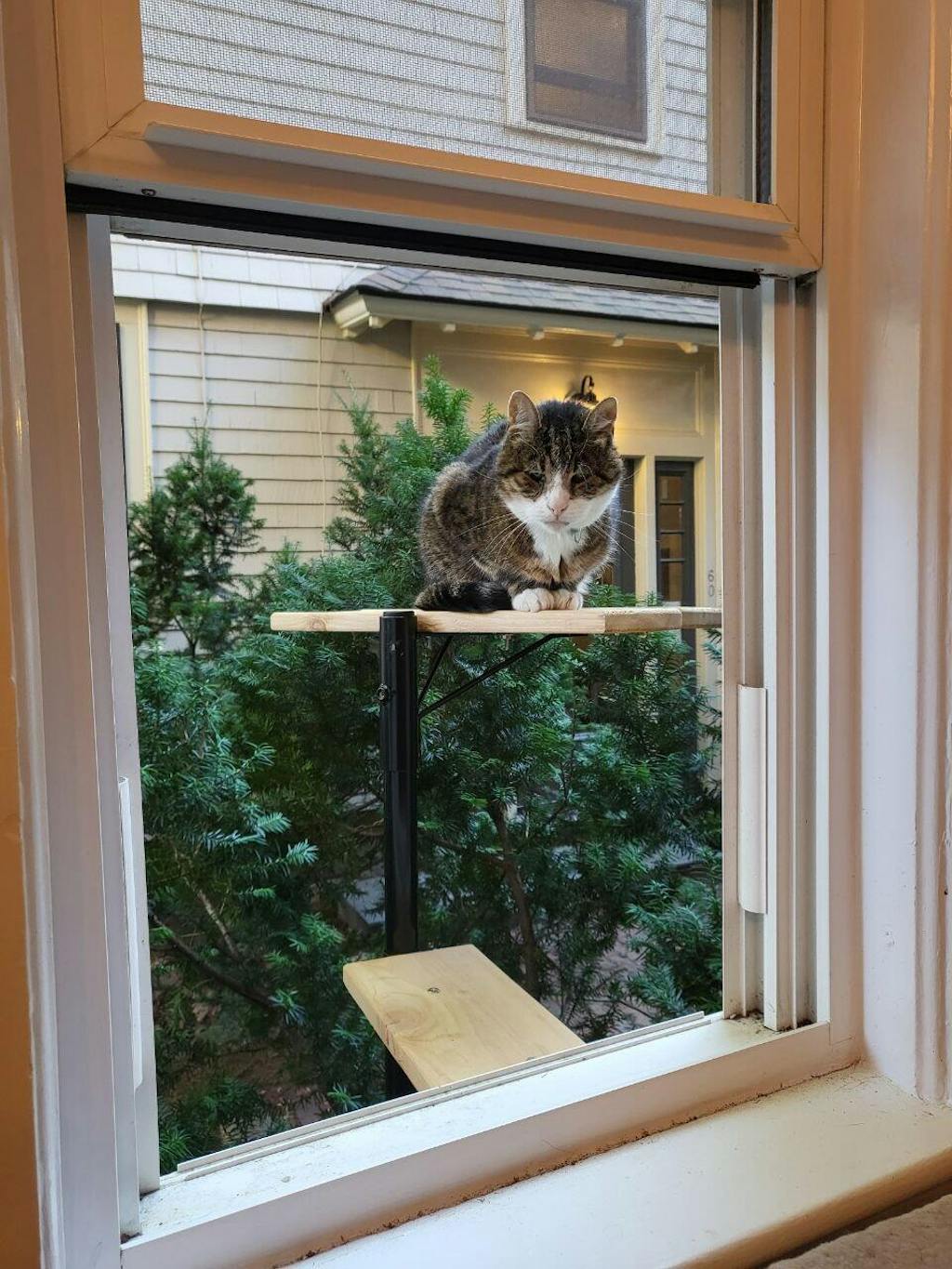 Purrfect Perch Outdoor Cat Tree – Purrfect Fence UK