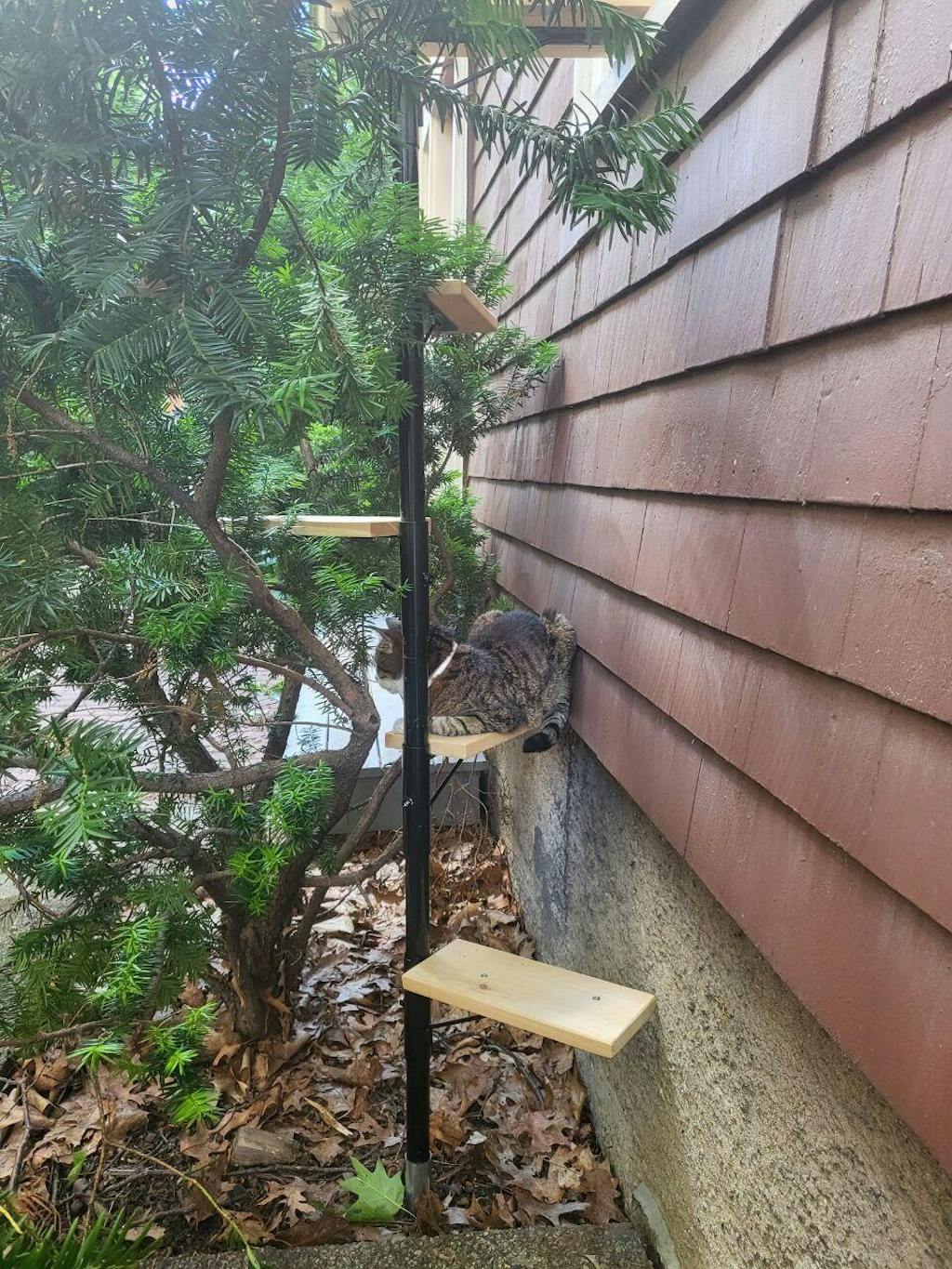 Purrfect Perch Outdoor Cat Tree – Purrfect Fence UK