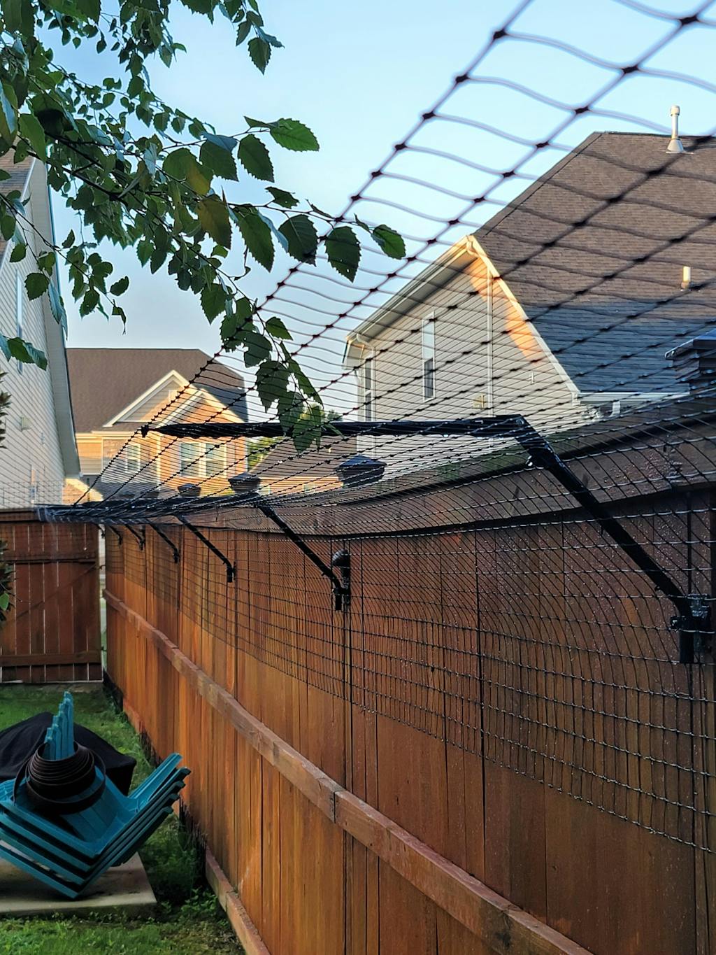 Cat Fences | What is the Purrfect Outdoor Cat Fence? - Purrfect Fence