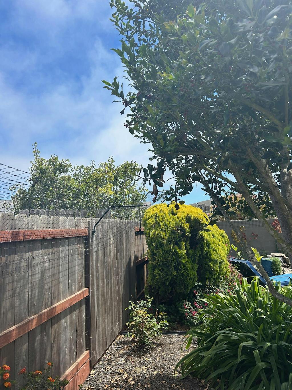 Cat Anti-Climb Tree Guard Baffle Kit - Purrfect Fence