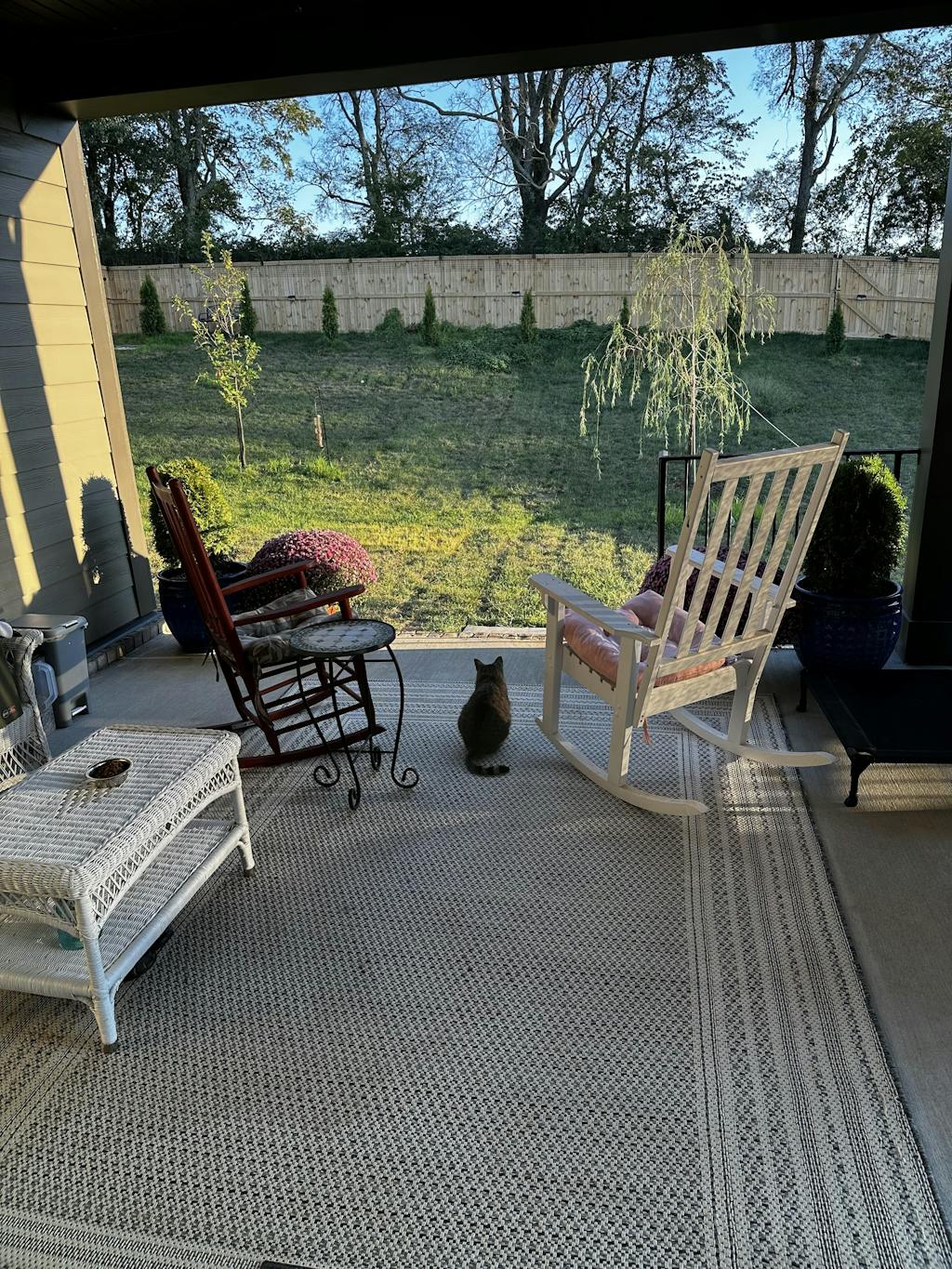 Cat Fences & Outdoor Cat Enclosures | Purrfect Fence