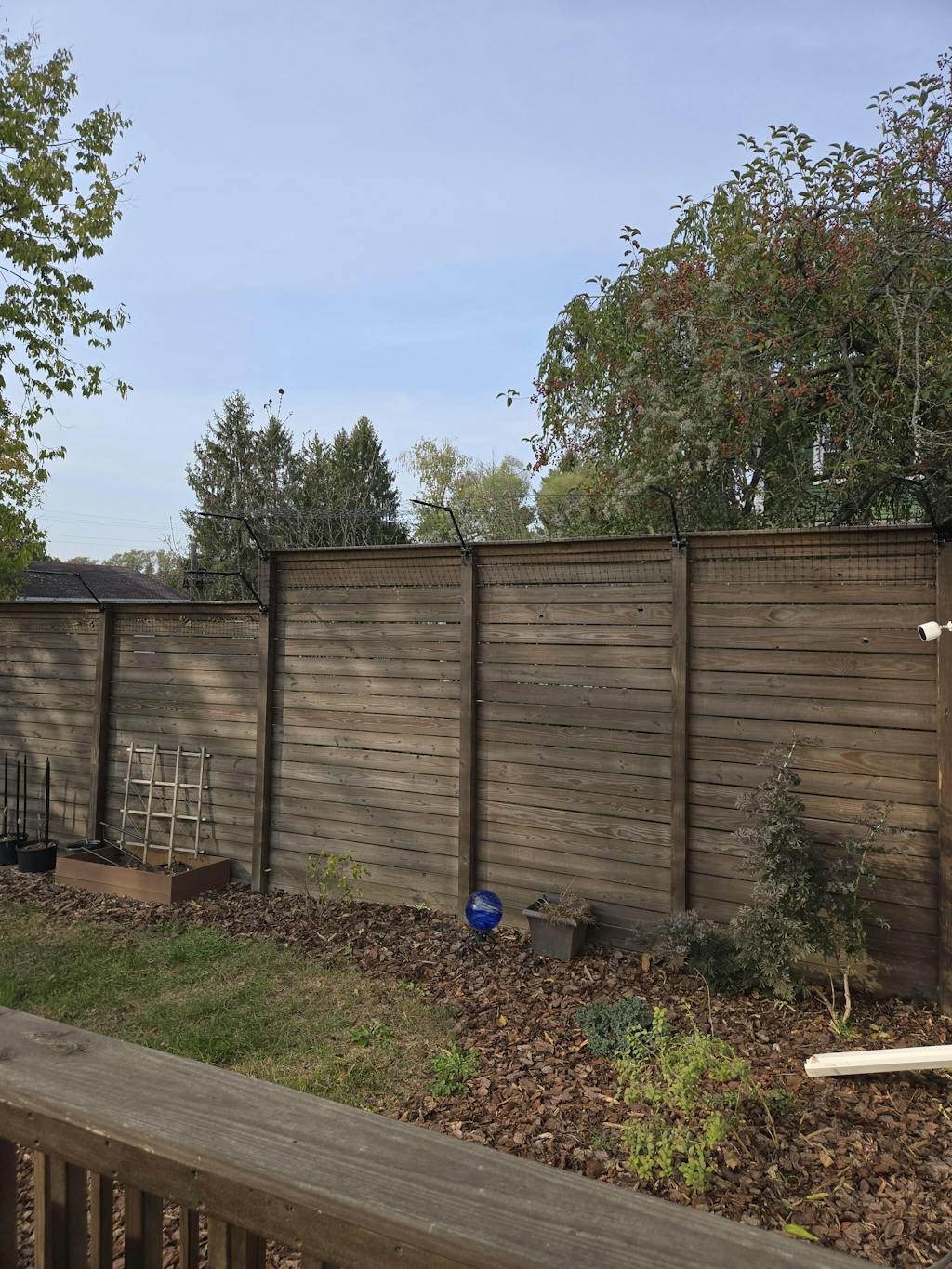 Cat Fences & Outdoor Cat Enclosures | Purrfect Fence