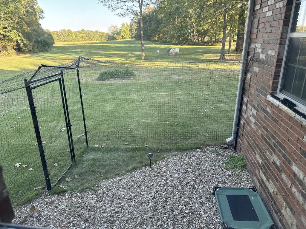 Cat Fences & Outdoor Cat Enclosures | Purrfect Fence