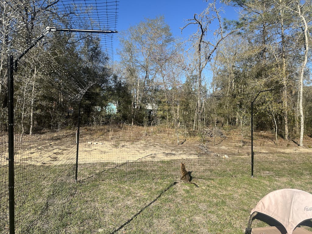 Cat Fences & Outdoor Cat Enclosures | Purrfect Fence