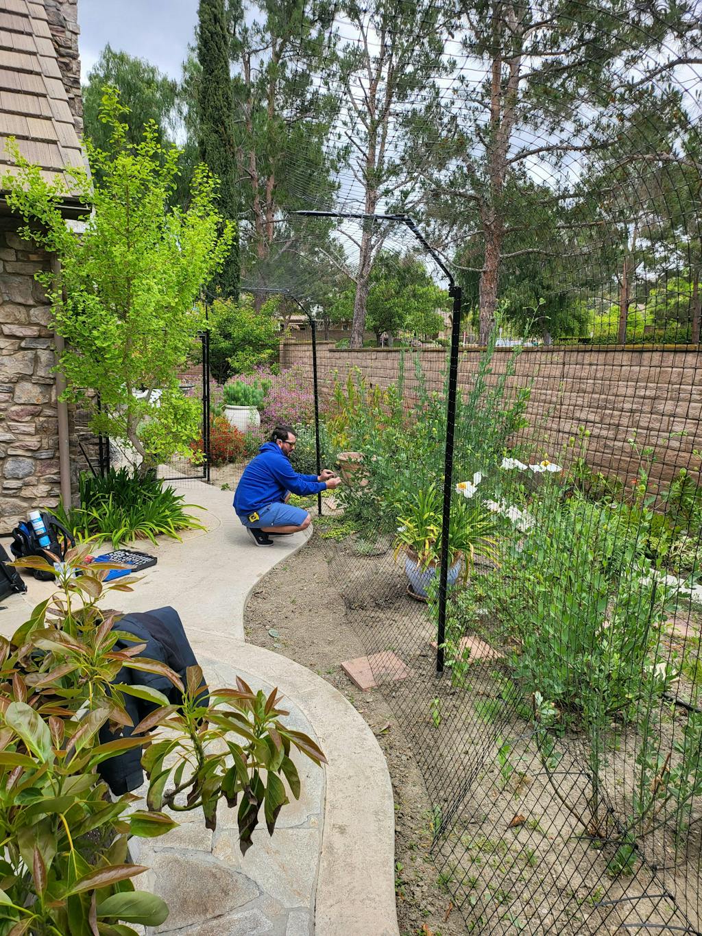 Cat Proof a Fence with Cat Fence Extenders | Purrfect Fence