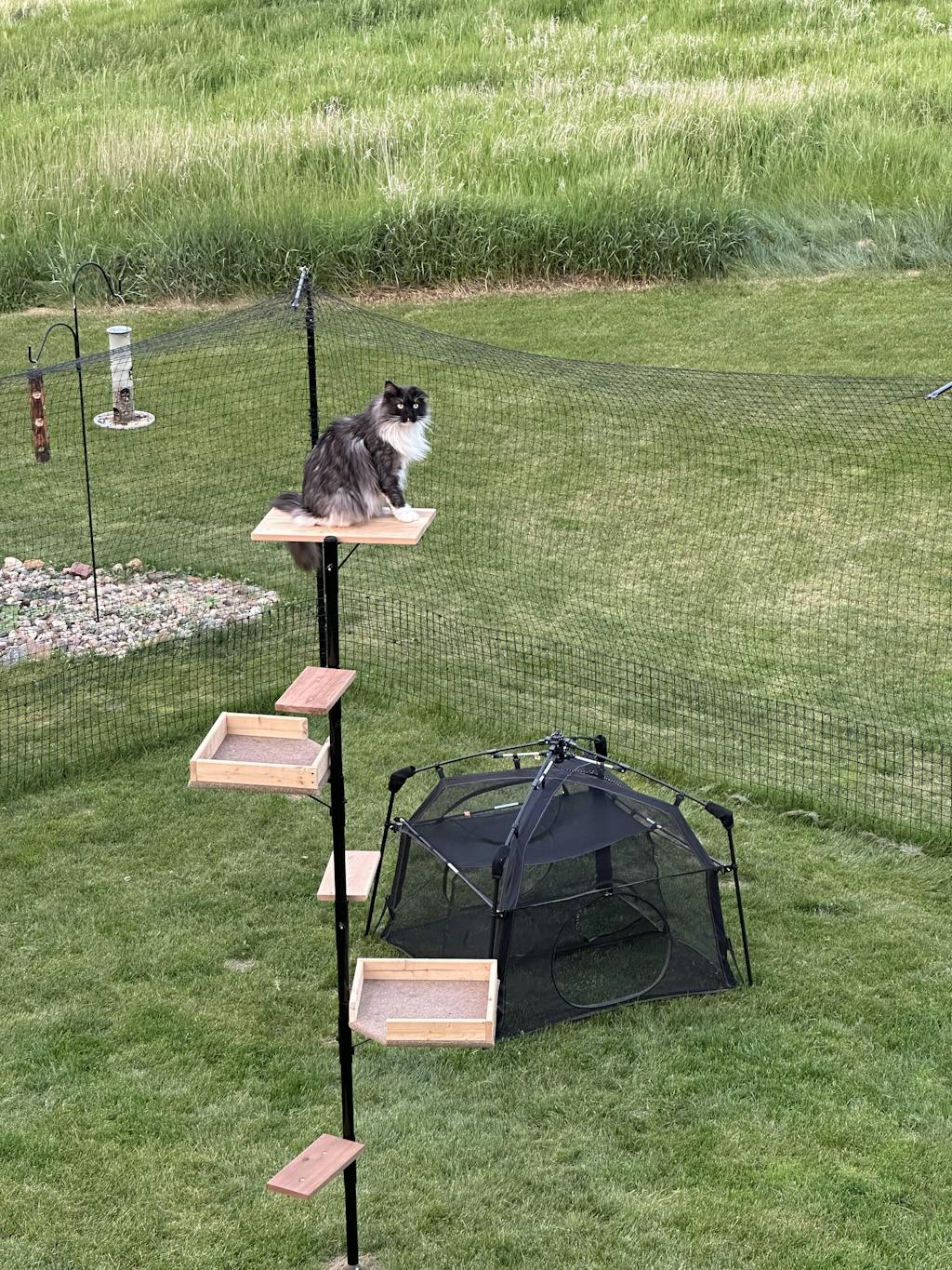 Cat Fences & Outdoor Cat Enclosures | Purrfect Fence