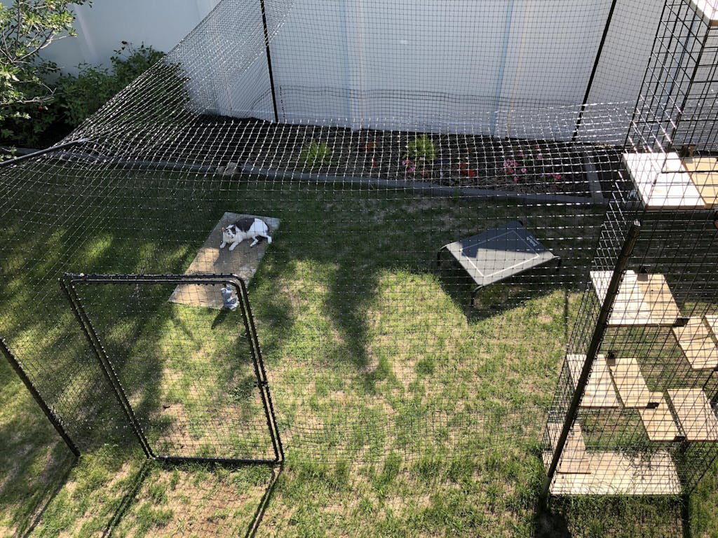 Cat Fences & Outdoor Cat Enclosures | Purrfect Fence