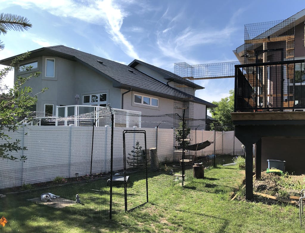 Cat Fences & Outdoor Cat Enclosures | Purrfect Fence