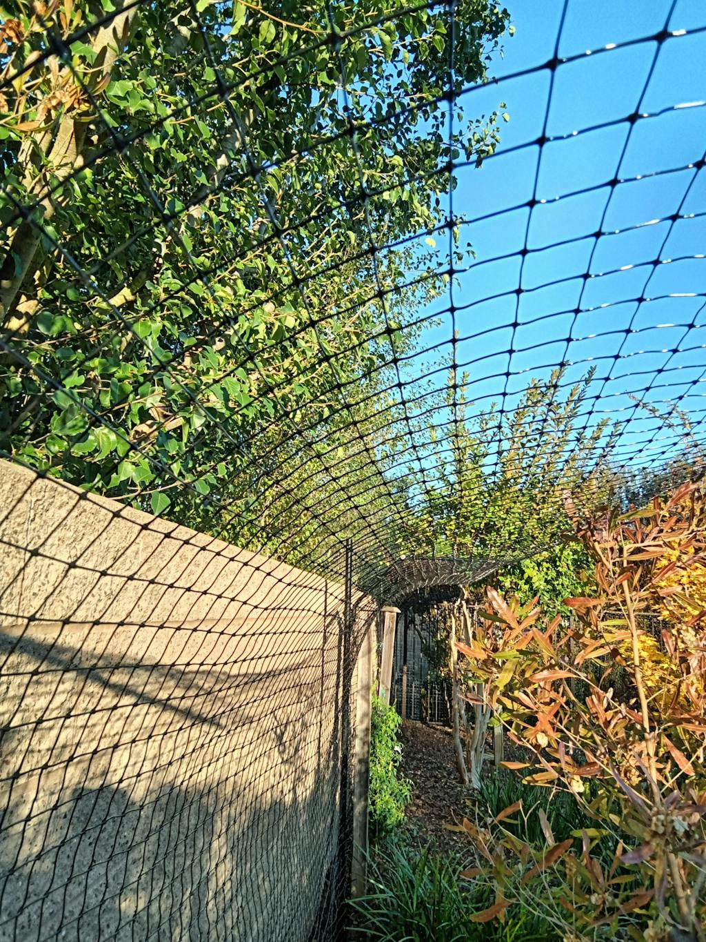 Dog Proofer Fence Extender For Dogs | Purrfect Fence