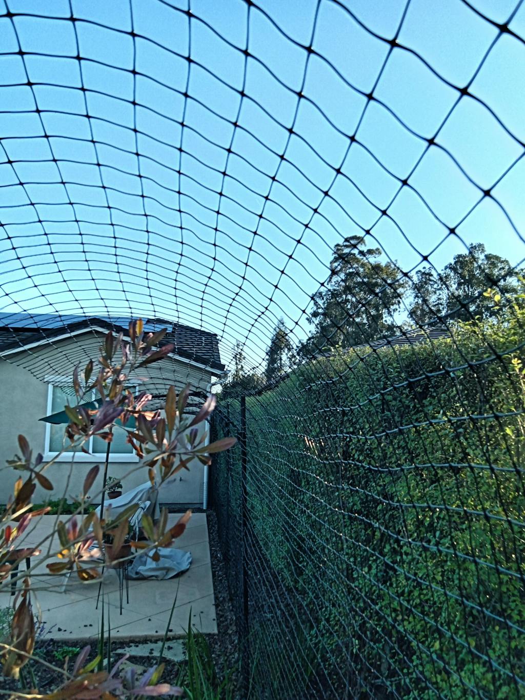 Cat Fences & Outdoor Cat Enclosures | Purrfect Fence