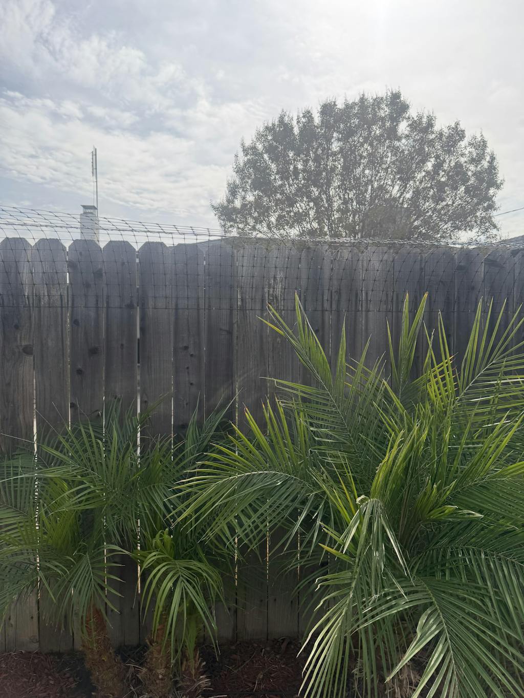 Dog Proofer Fence Extender For Dogs | Purrfect Fence