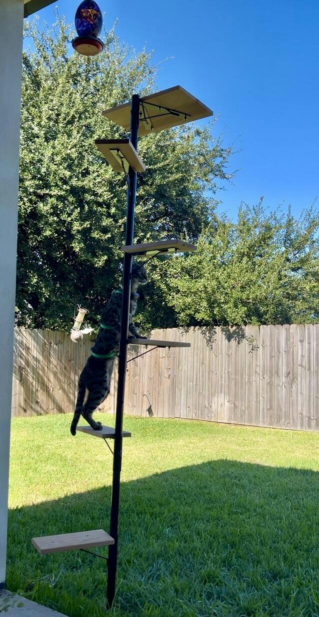 Dog Proofer Fence Extender For Dogs | Purrfect Fence